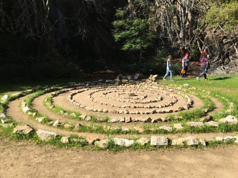 Pogonip, Santa Cruz - Community Seed